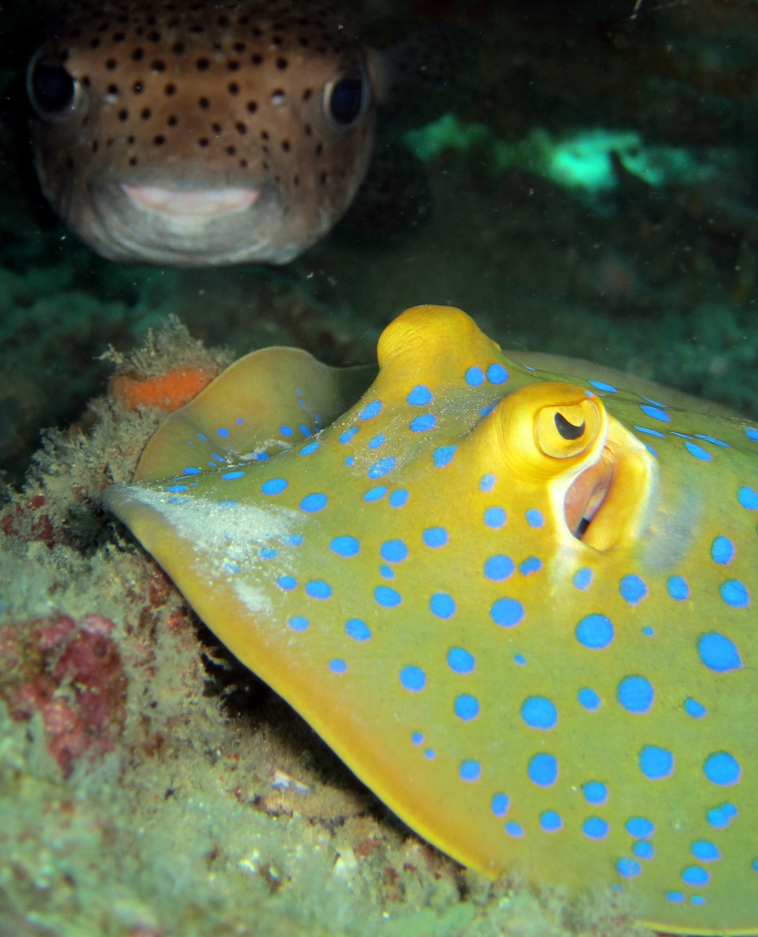 Home - Tunabay Island Resort